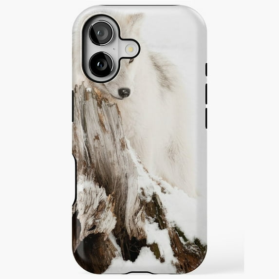 Adorable Arctic Wolf Pup Winter Animal Phone Case 17 16 15 14 13 12 11 ...