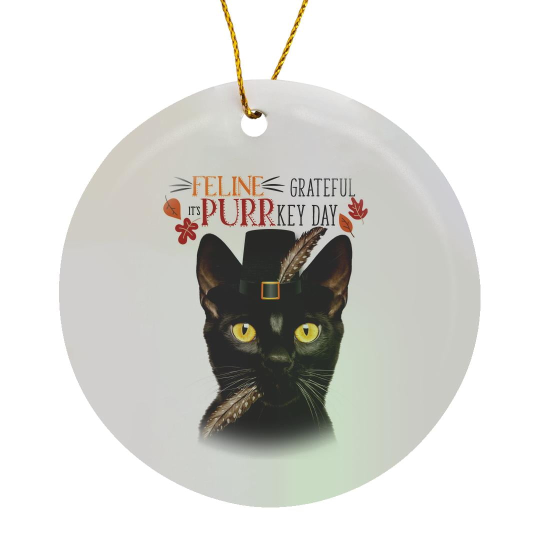 3drose, Adorable Black Bombay Cat in a Pilgrim Cat with a Turkey ...