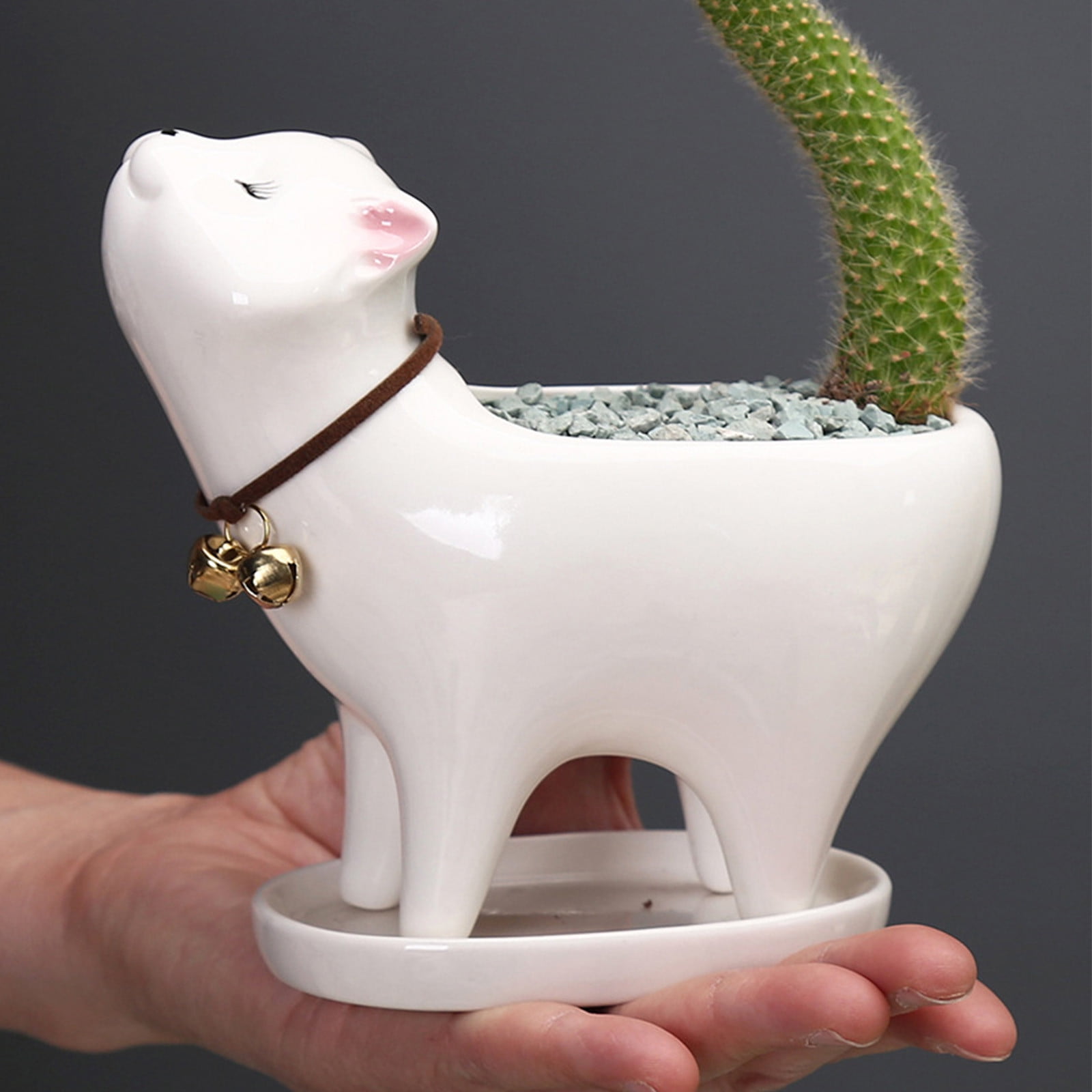 Adorable Ceramic Cat Succulent Planter with Drainage for Home Decor ...