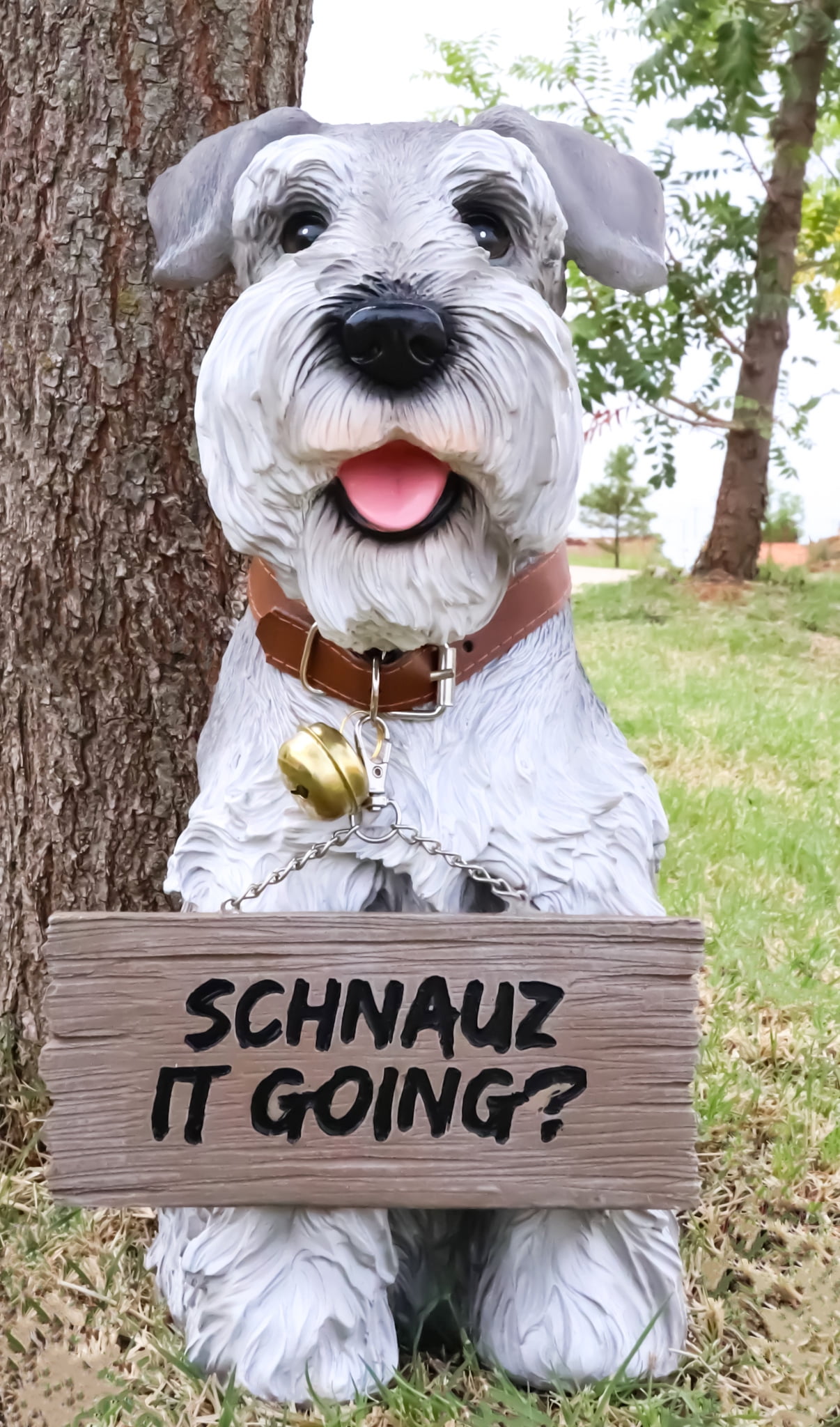 Adorable Grey Schnauzer Dog Sitting With Jingle Collar Greetings Sign ...