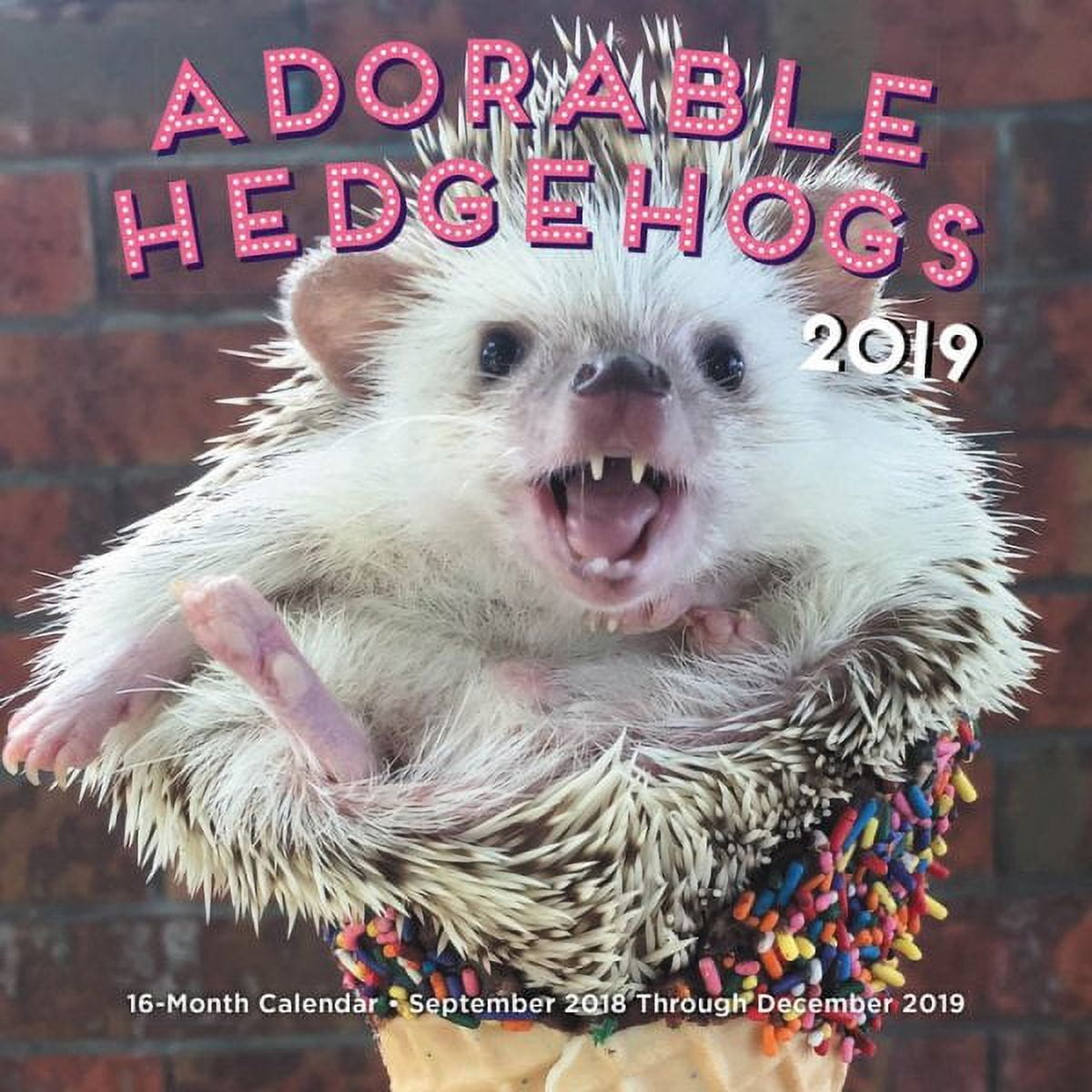Adorable Hedgehogs 2019 Calendar - Walmart.com