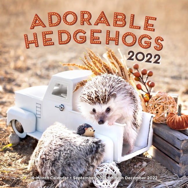 Adorable Hedgehogs 2022 : 16-Month Calendar - September 2021 Through ...