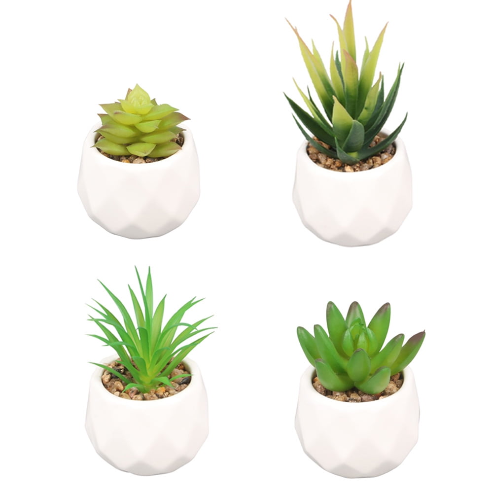 Adorable Home Decor for Succulent Lovers Sparkling Diamond-Embellished ...