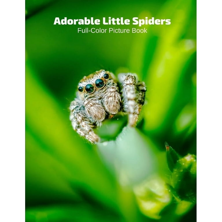 Insects And Spiders Book