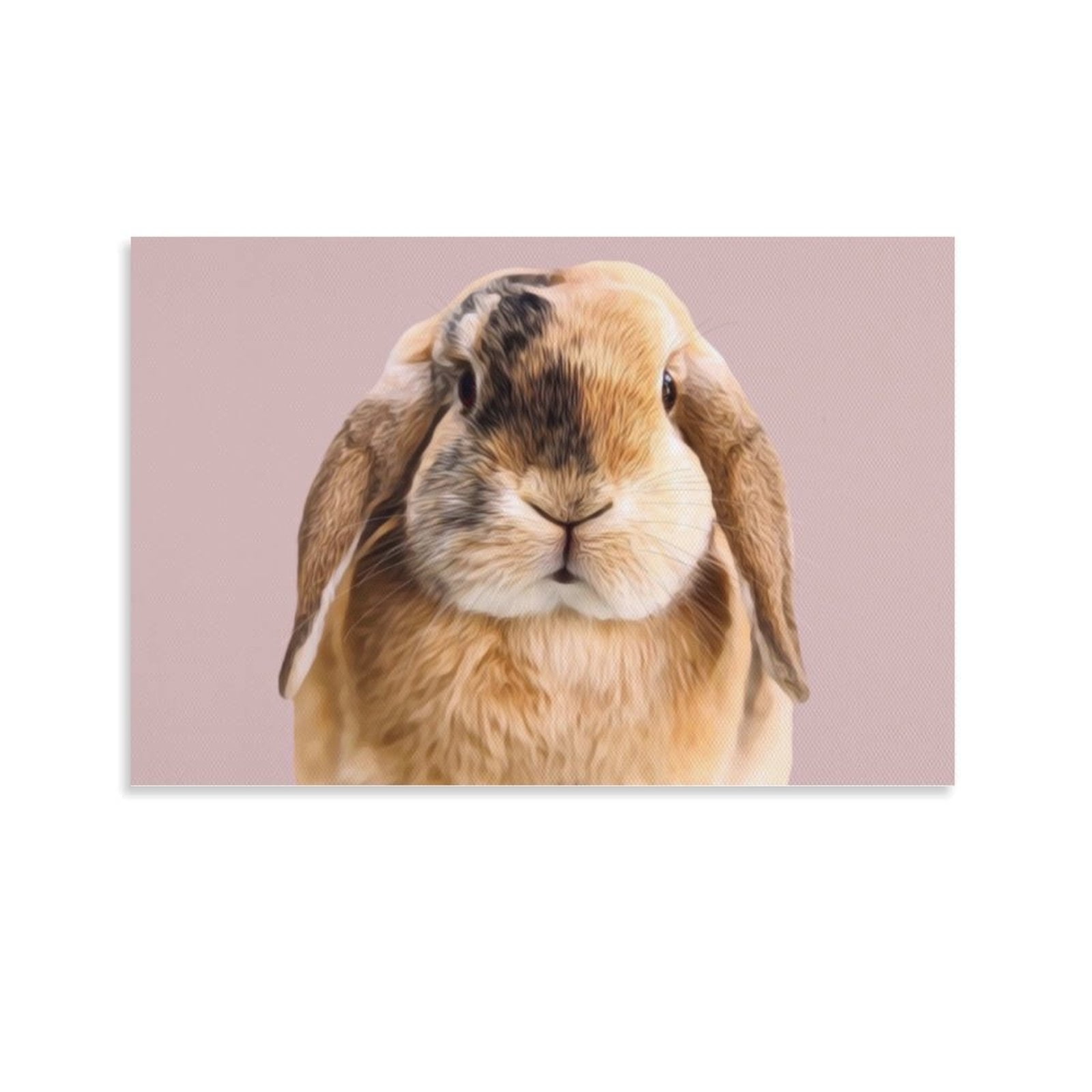 Adorable Lop Bunny Poster Decorative Painting Canvas Wall Art Living ...