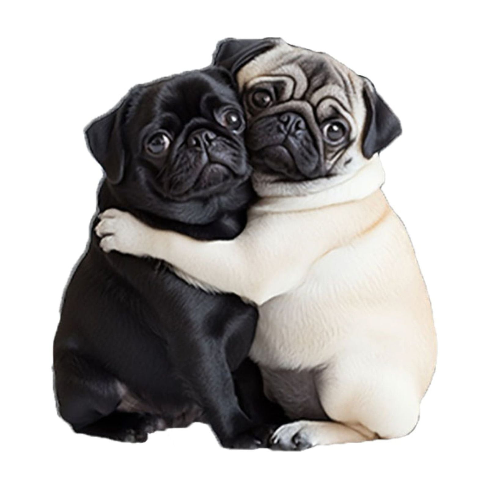 Adorable Pug Acrylic Car Fragrance Diffuser - 2D Cute Pugs Cars ...
