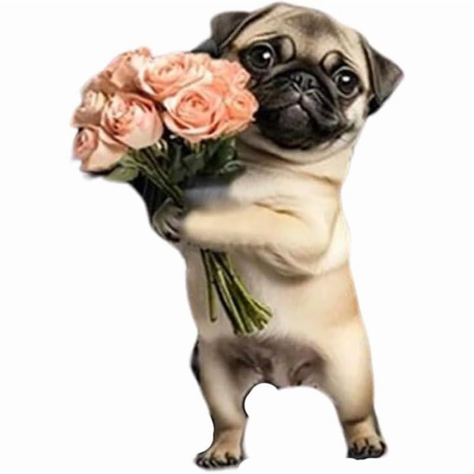 Adorable Pug Acrylic Car Vent Fragrance Diffuser,2D Cute Dog Design ...