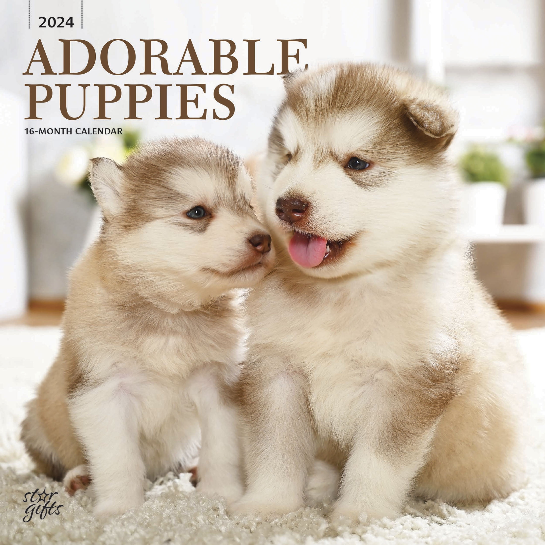 Adorable Puppies | 2024 12x24" (Hanging) Square Wall Calendar ...