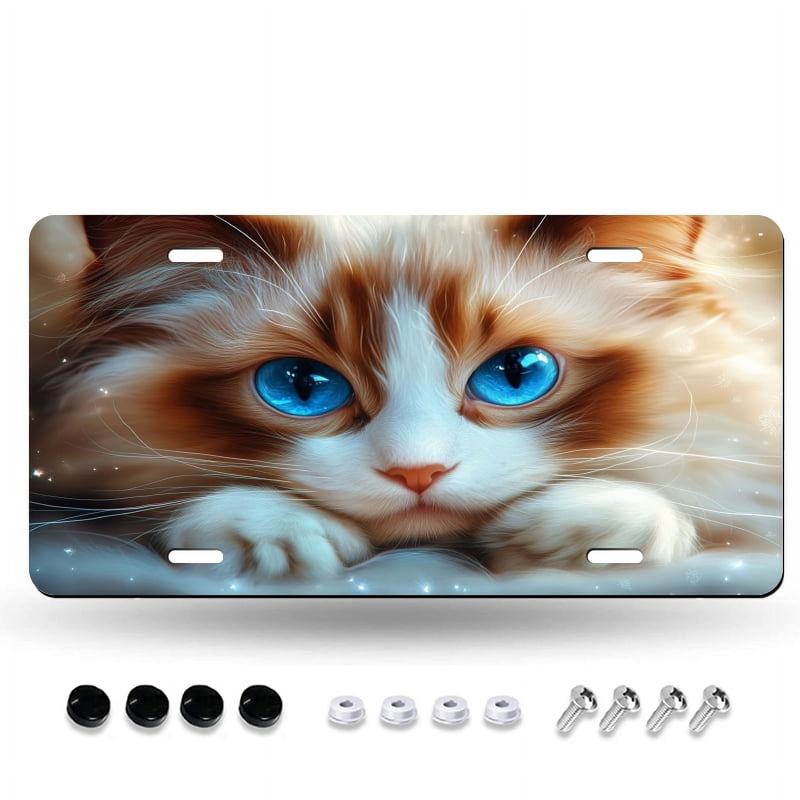 Adorable Ragdoll Cat With Sparkling Blue Eyes License Plate Frame ...