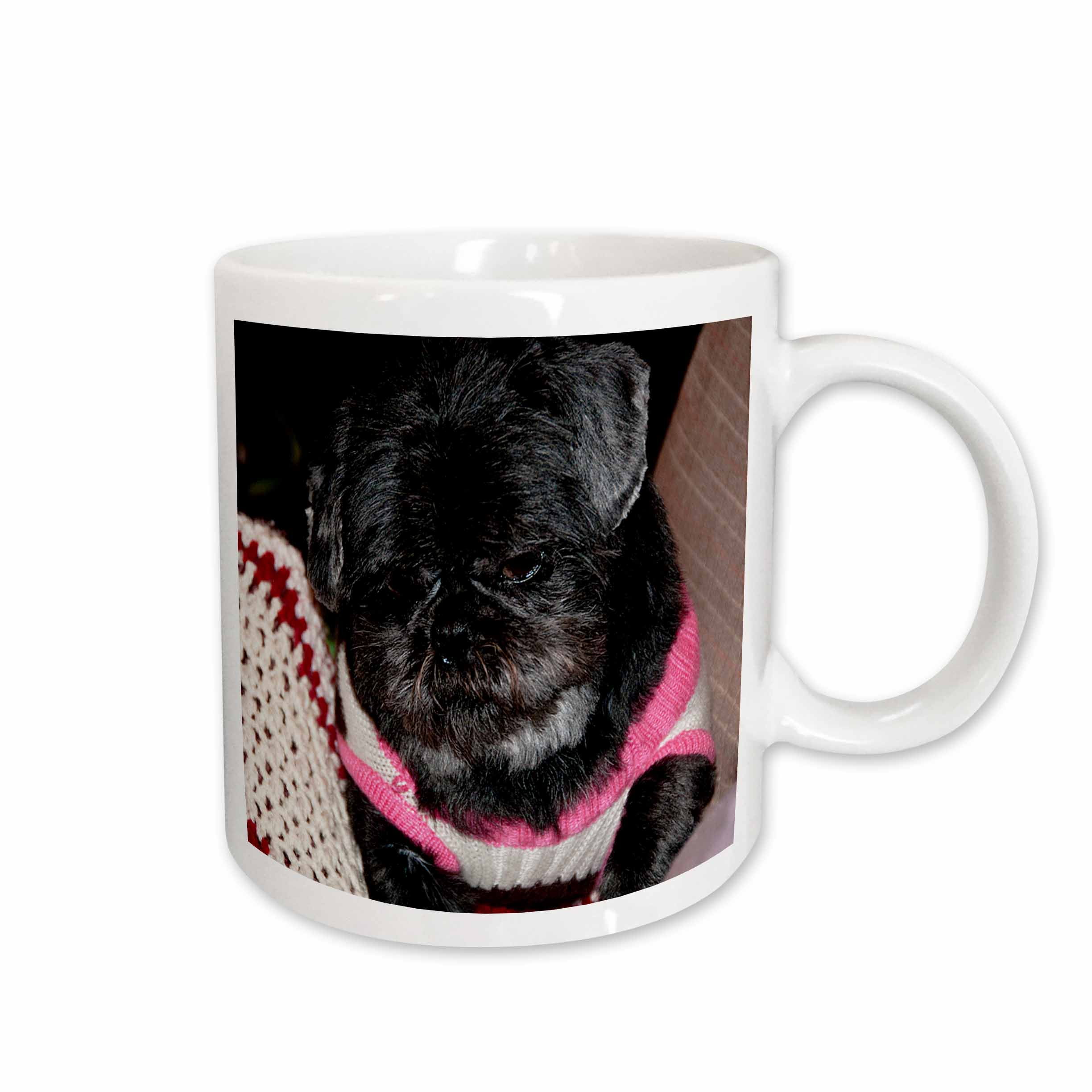 3drose, Adorable Shiatsu Pug Pet Dog in Vibrant Pink and Green Sweater ...