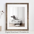 Adorable Zebra in Tub Photo Bathroom Art Print Unframed Paper Print ...