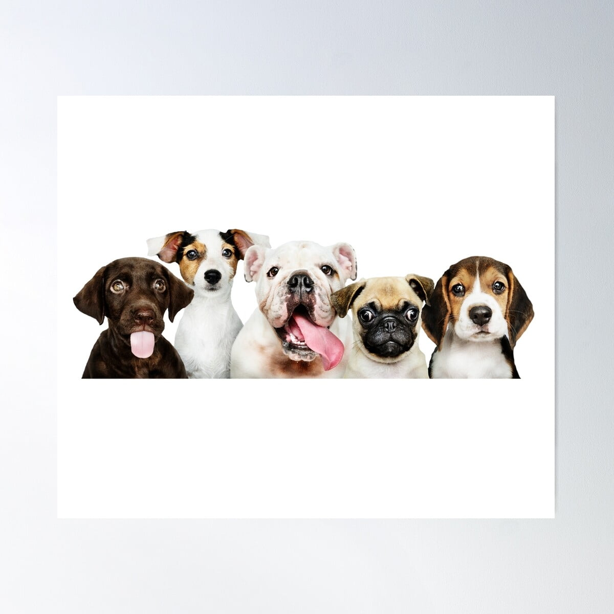 Adorable puppies Poster, 12x18 UNFRAMED - Walmart.com