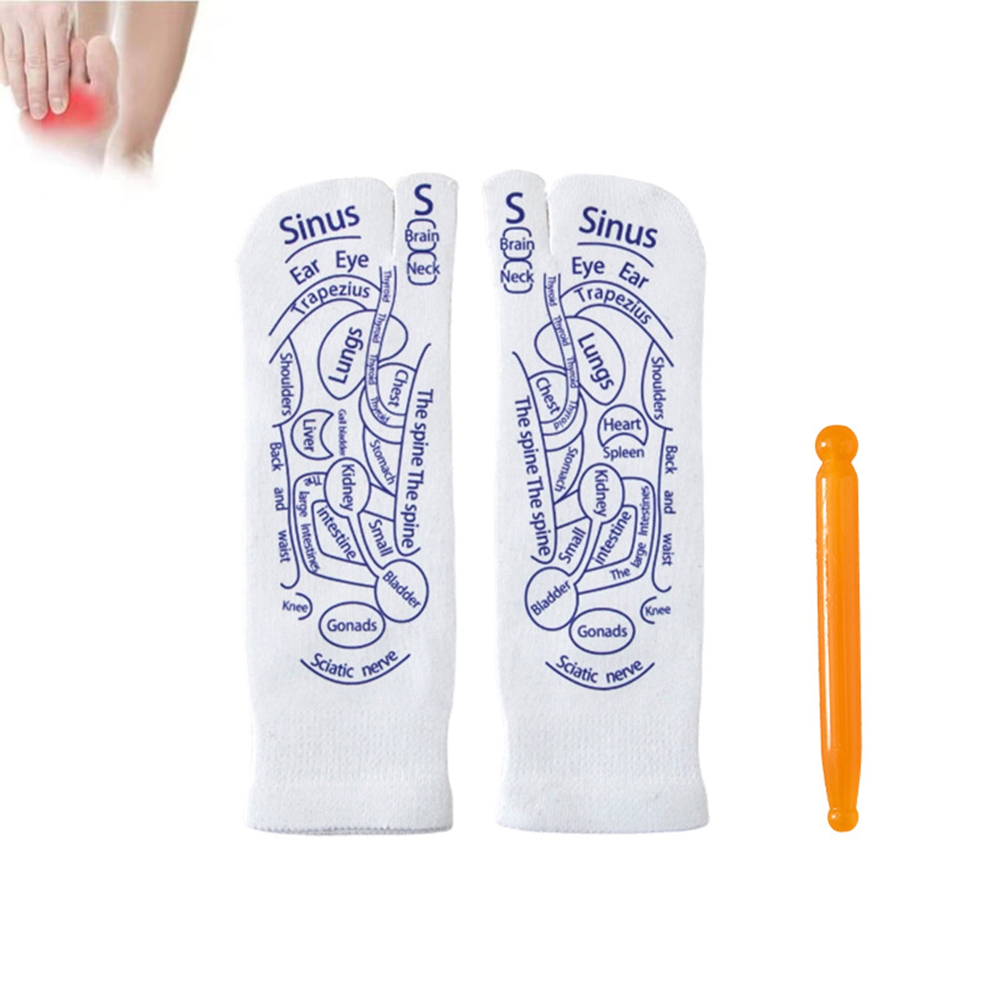 Adult Acupressure Socks Acupoint Map Reflexology Socks with Trigger ...