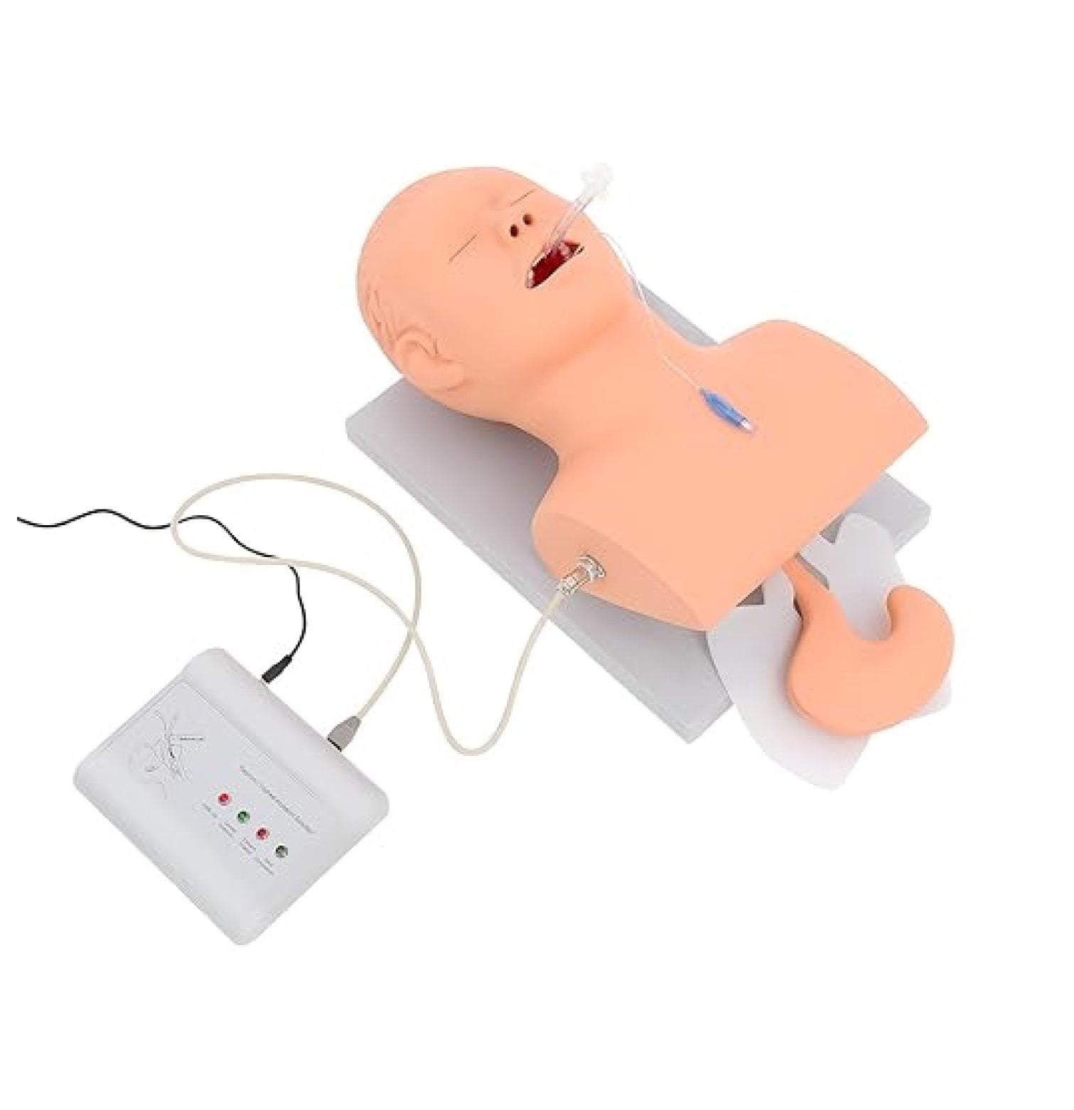 Adult Airway Management Trainer Kit, Adult Intubation Manikin Head ...