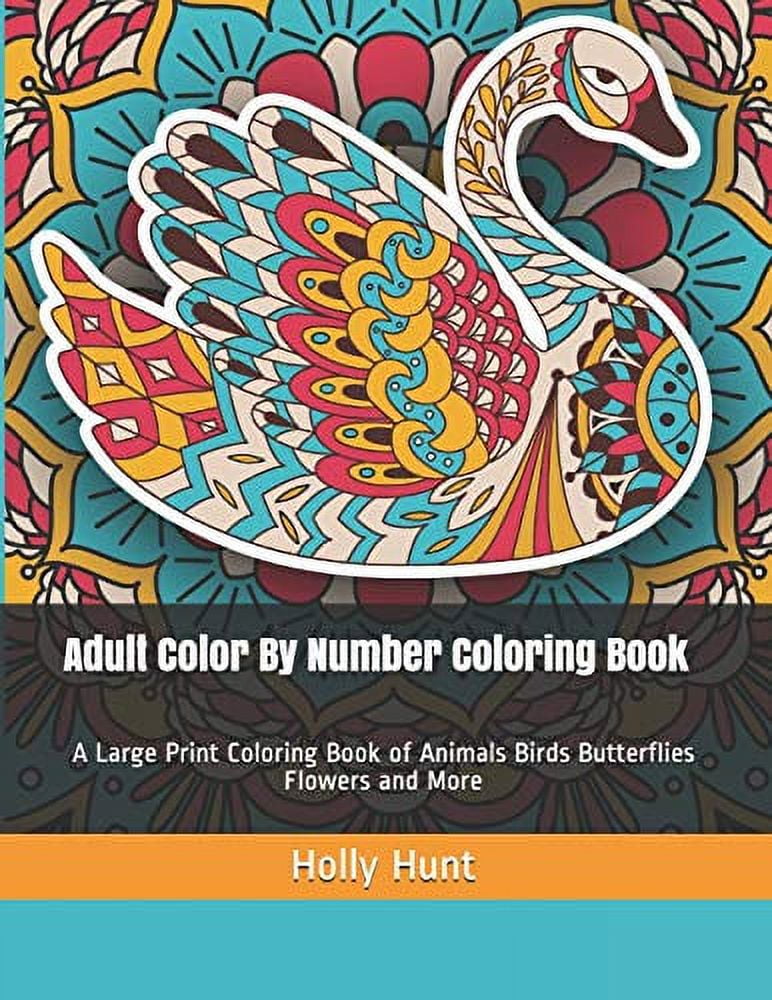 Pre-Owned Adult Color By Number Coloring Book: A Large Print Coloring ...