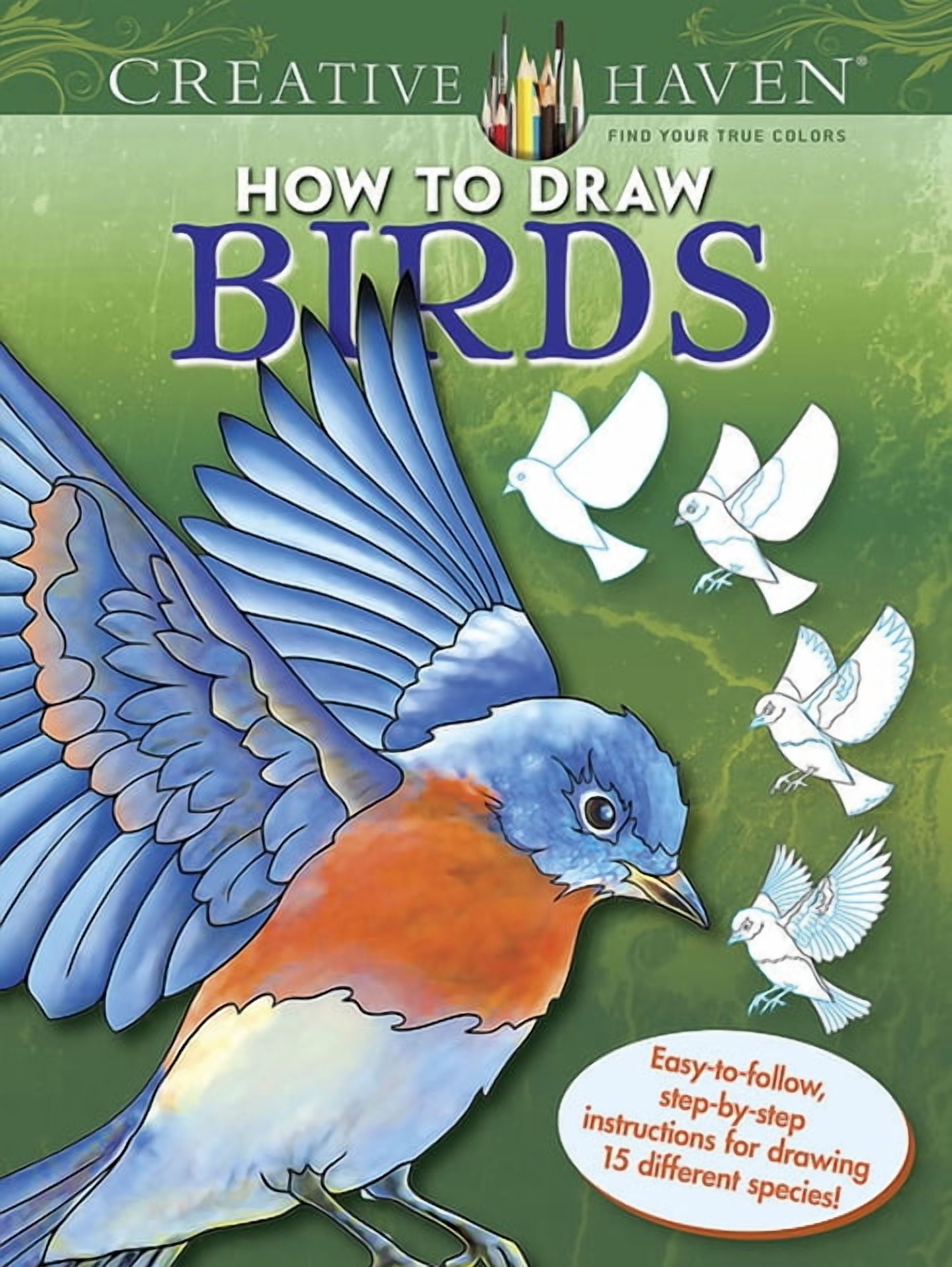 Adult Coloring Books: Animals Creative Haven How to Draw Birds Coloring ...