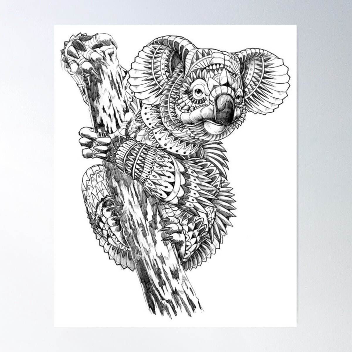Adult Coloring Pages: Koala Poster Wall Art, Modern Wall Decor For ...