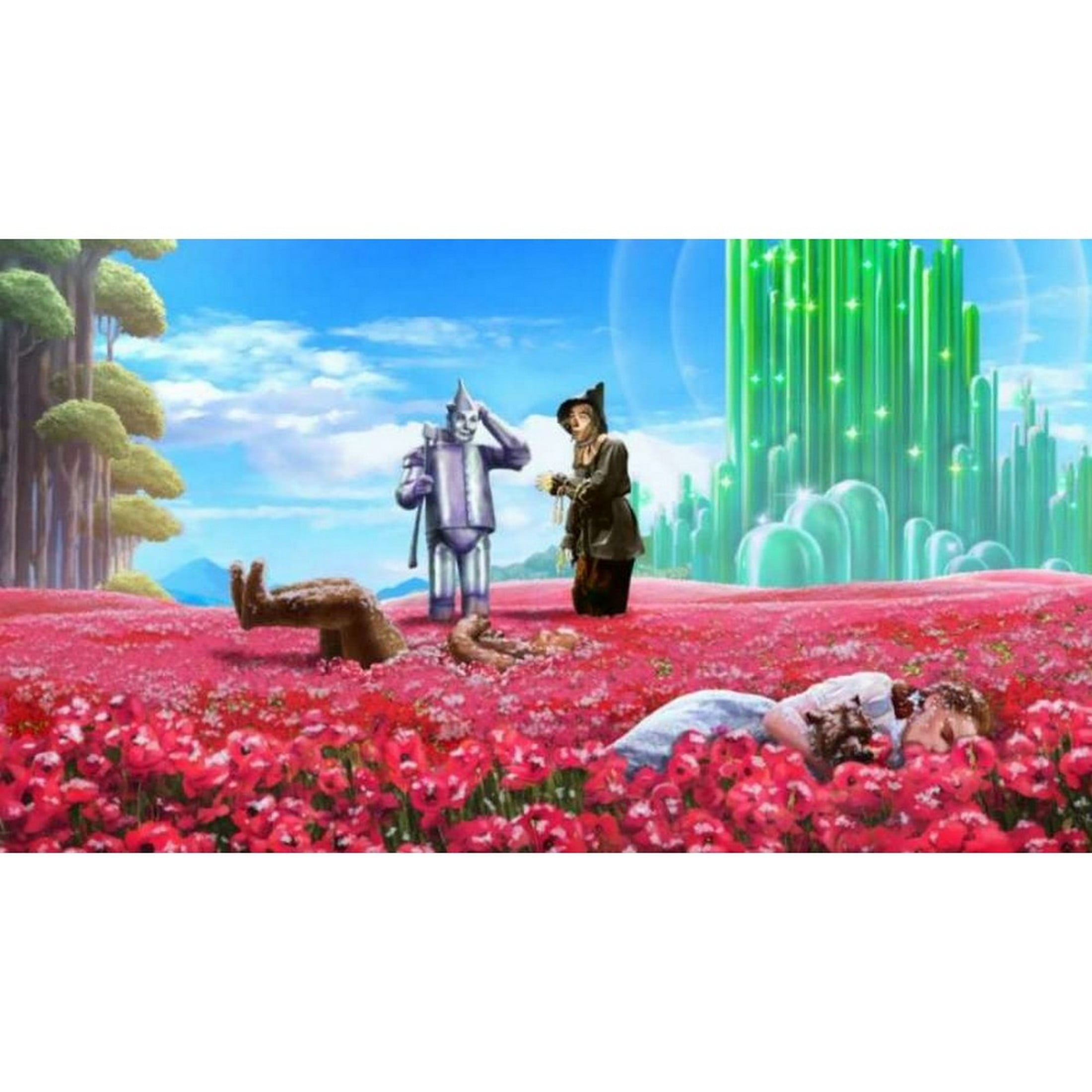 Adult DIY 5D Diamond Painting Kit, Wizard of Oz Series Art Round ...