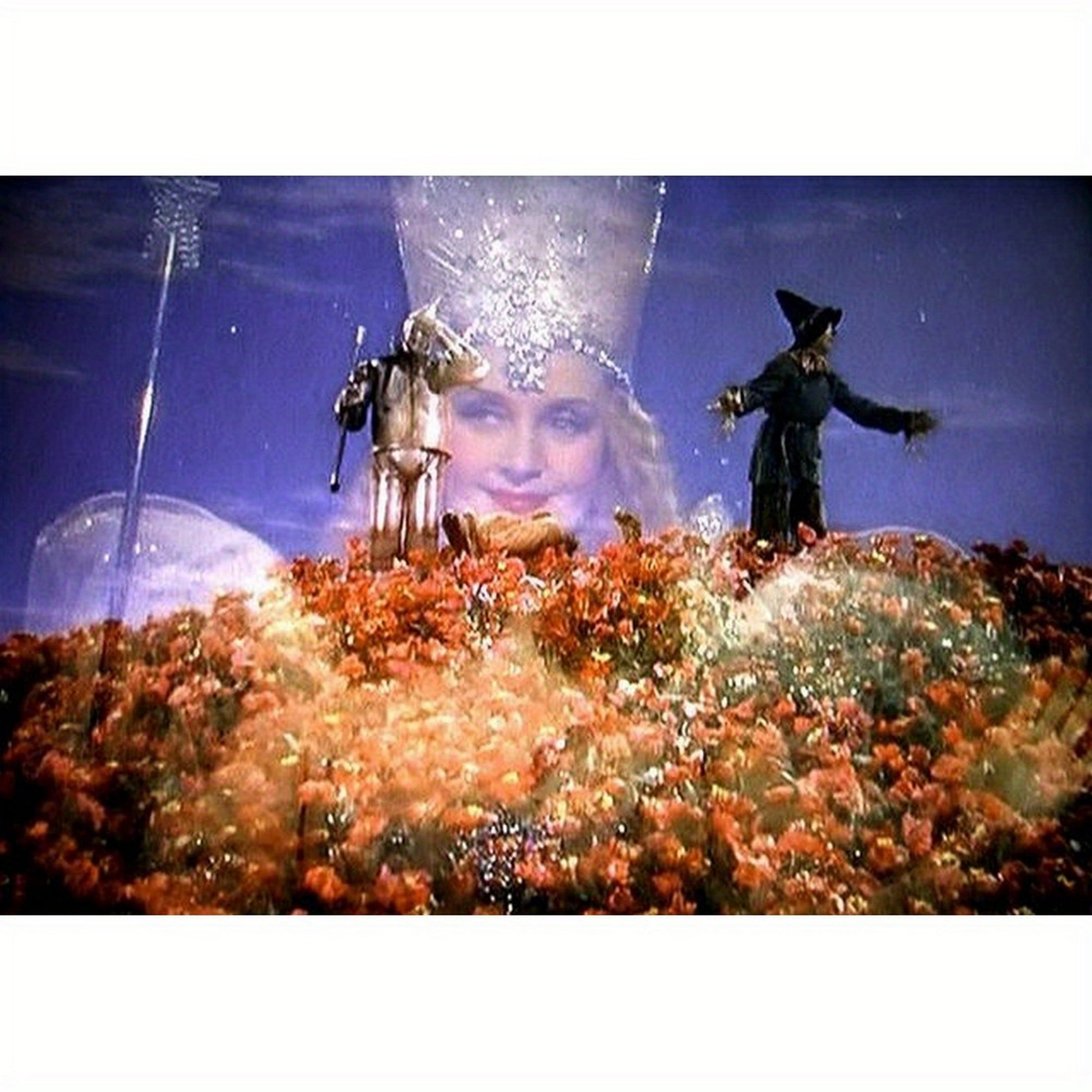 Adult DIY 5D Diamond Painting Kit, Wizard of Oz Series Art Round ...