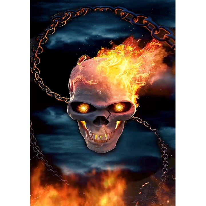 Adult Diamond Painting Set,5D Full Diamond Digital Diamond Painting Set ...