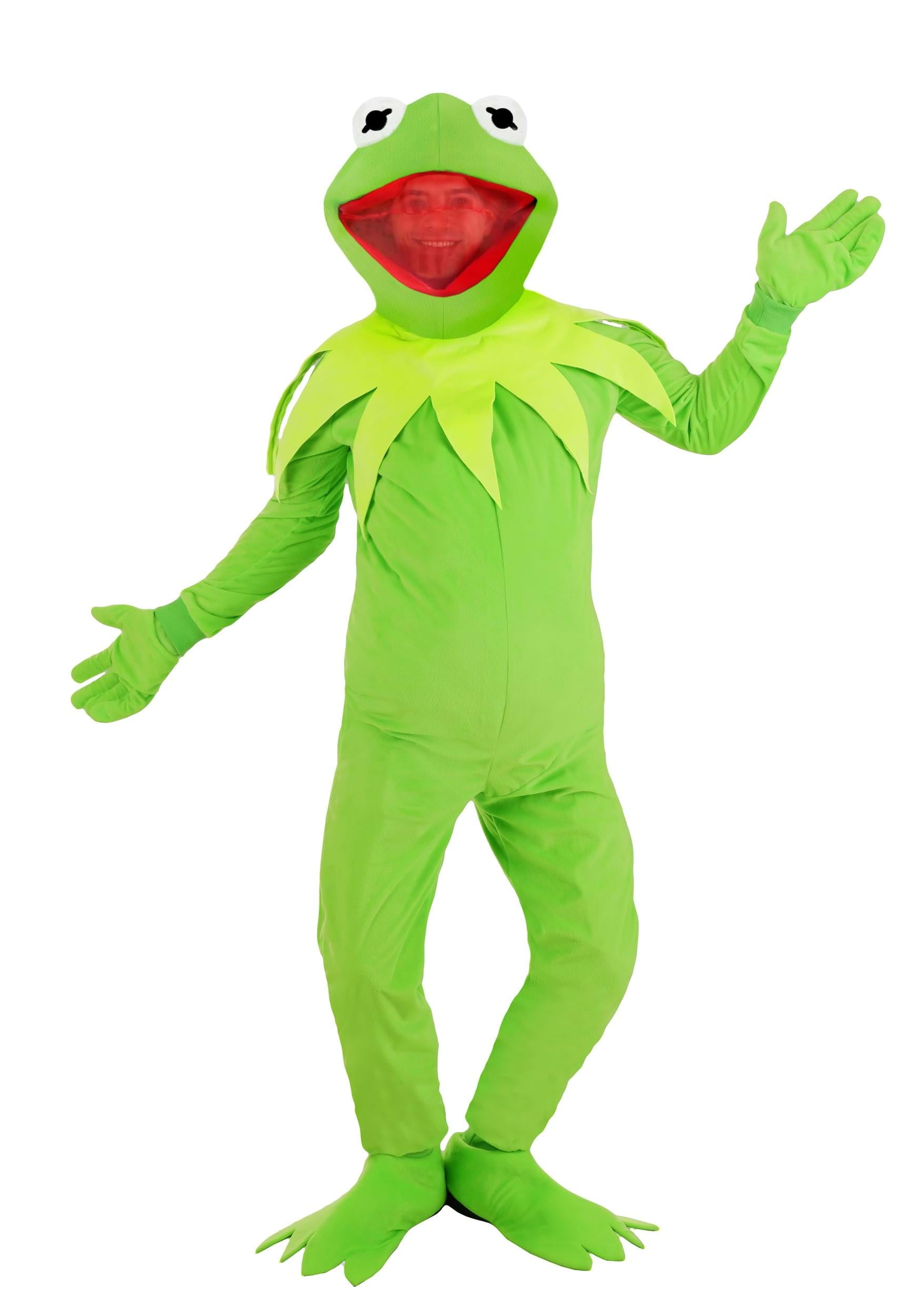 Adult Disney Kermit Costume - Walmart.com
