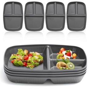 Compartment Dinner Plates