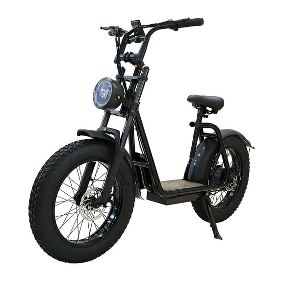 Adult Electric Scooter 20-Inch Fat Tire 750 W Motor 260 Lbs Max Load ...