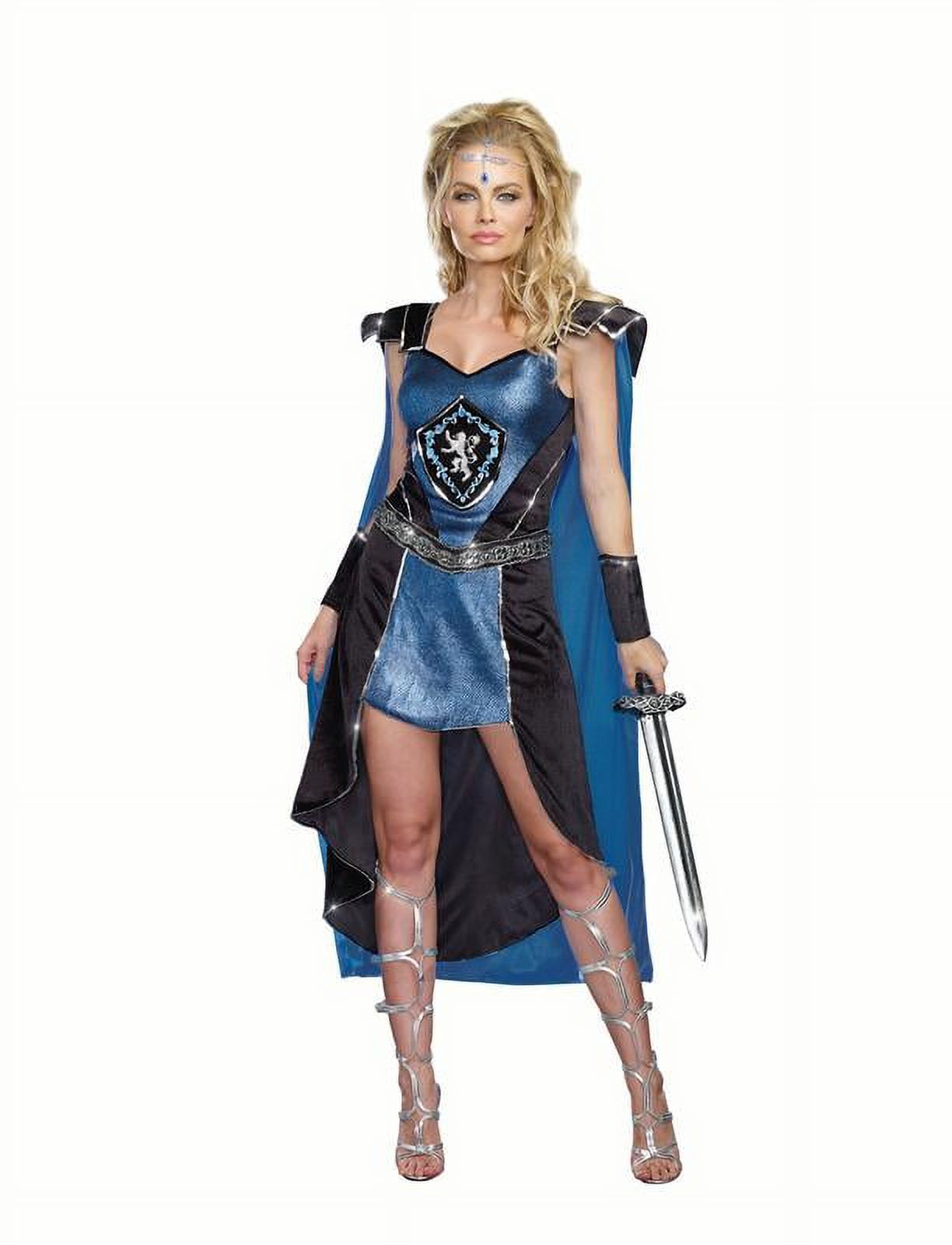 Adult Female King Slayer Renaissance Costume by Dreamgirl 9824 ...