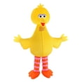 Adult Inflatable Sesame Street Big Bird Costume - Walmart.com