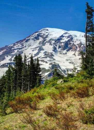 Adult Jigsaw Puzzle Mt Rainier Large Educational Family Jigsaw Puzzle ...