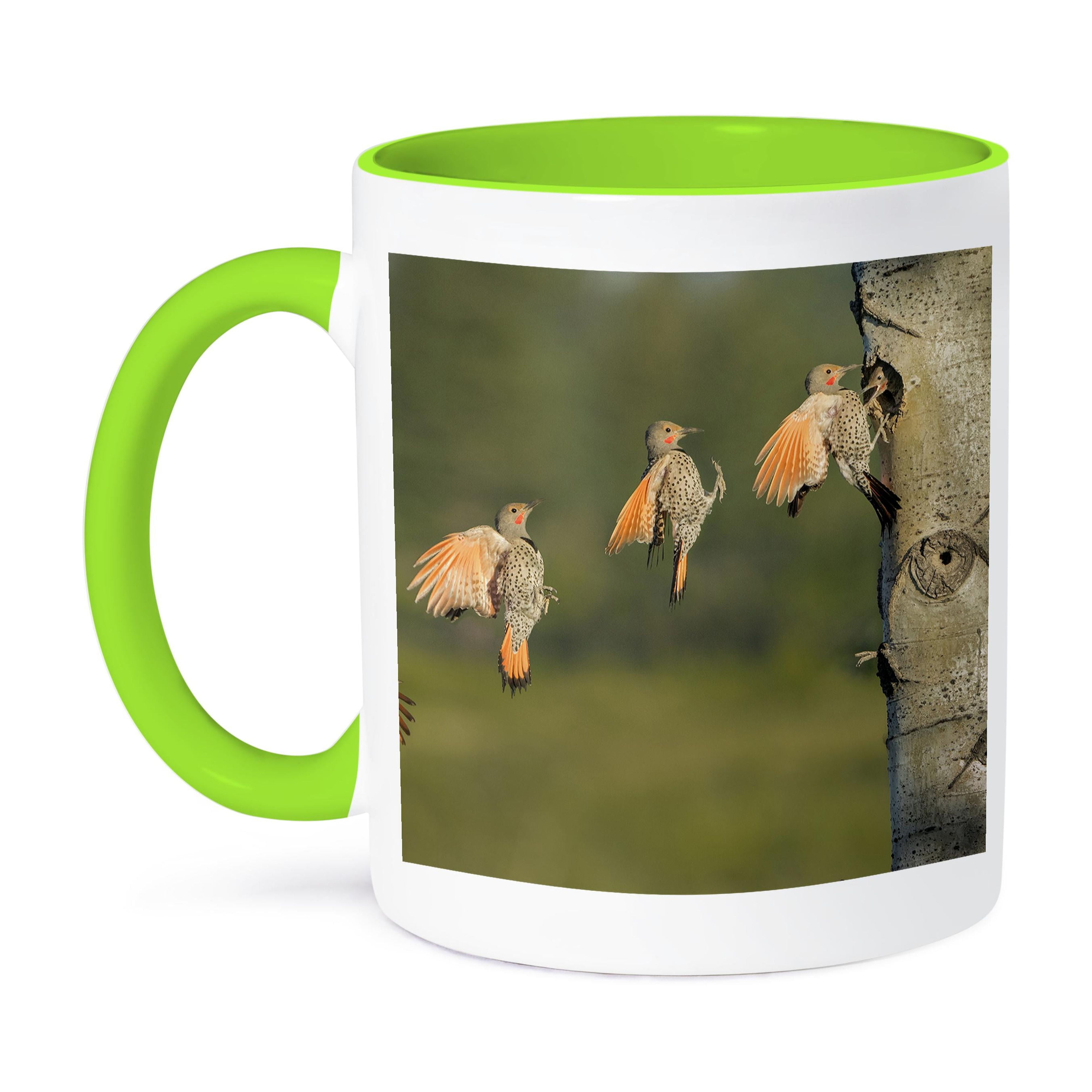 3drose, Adult Male Northern Flicker Flies to Nest in Aspen Digital ...