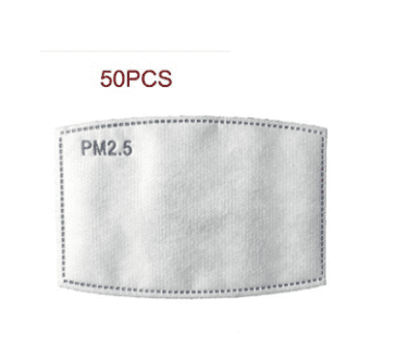 Adult PM2.5 Activated Carbon Filter, Breathing Insert 5 Layers ...