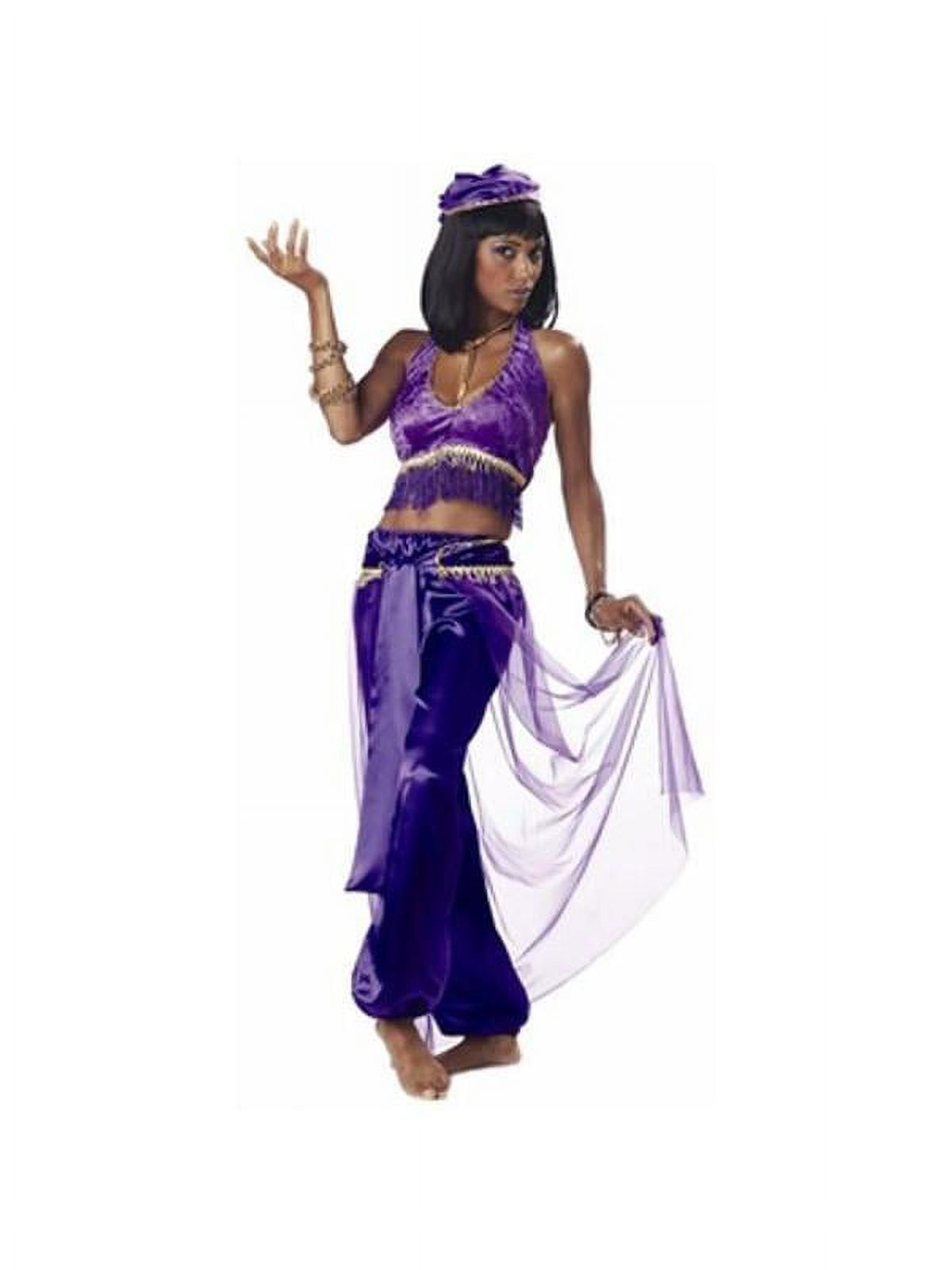 Adult Purple Belly Dancer Costume - Walmart.com