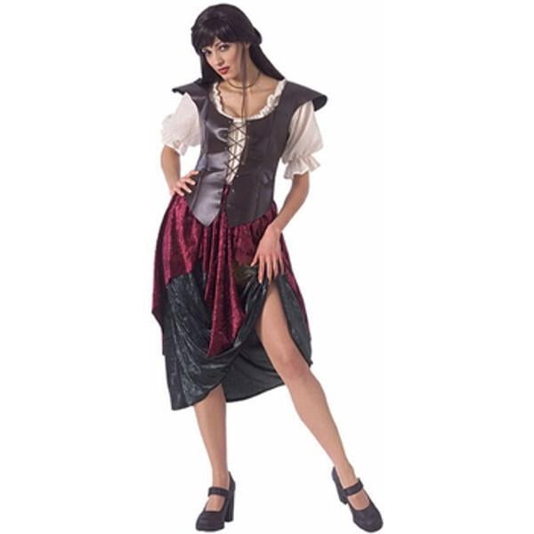 Renaissance Bar Wench Costume
