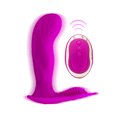 Adult Sex Toy G Spot Vibrator For Women Remote Control Wearable Panty