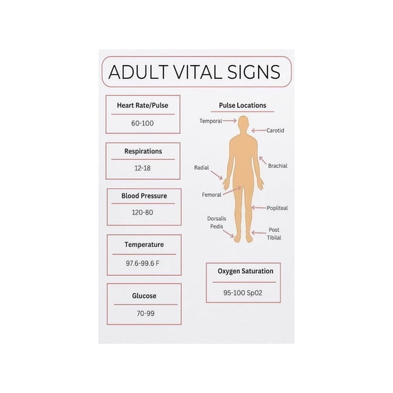 Adult Vital Signs Chart Poster Normal Ranges Nursing Reference Pulse ...