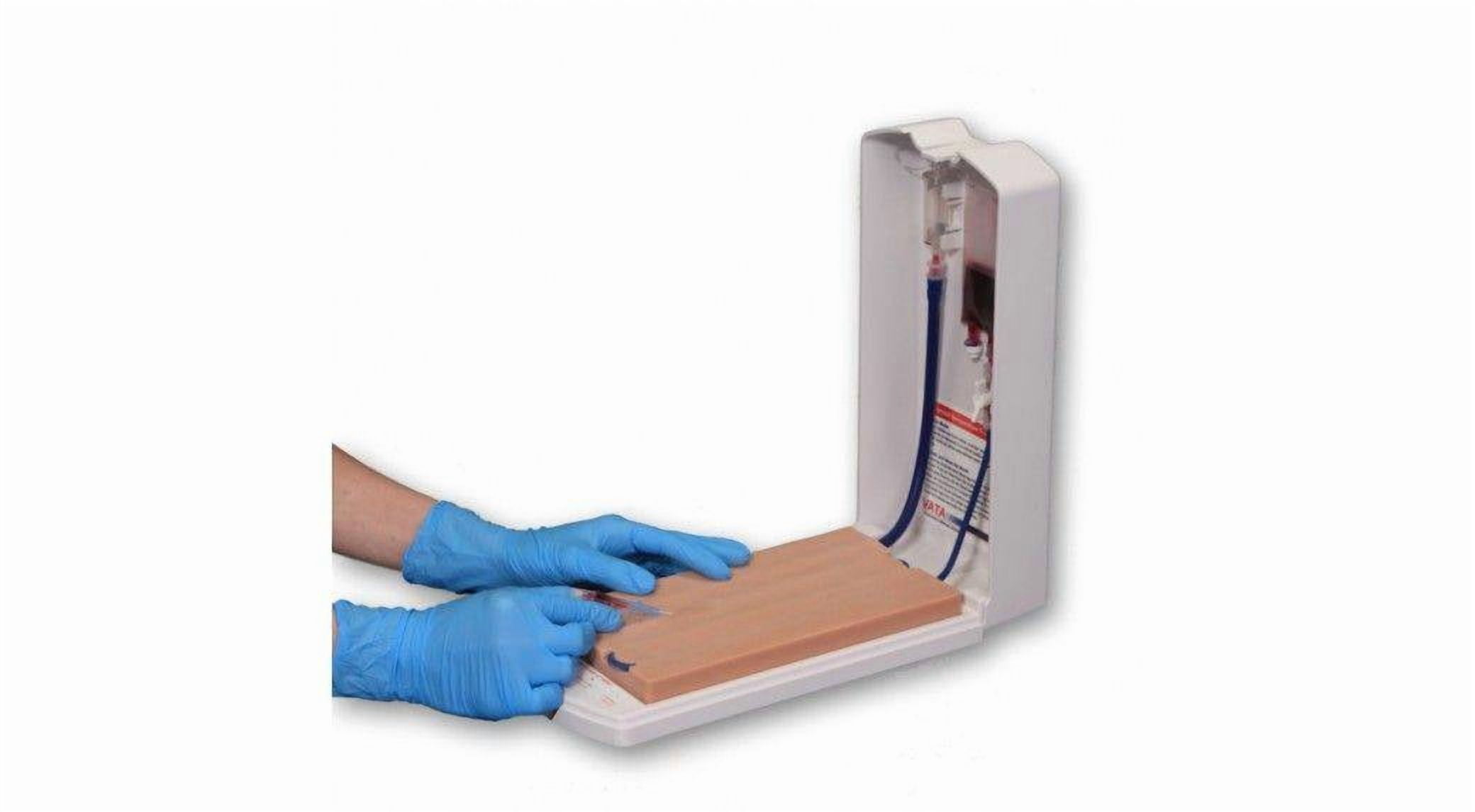 Advanced Four-Vein Venipuncture Training Aid - Dermalike II Latex Free ...