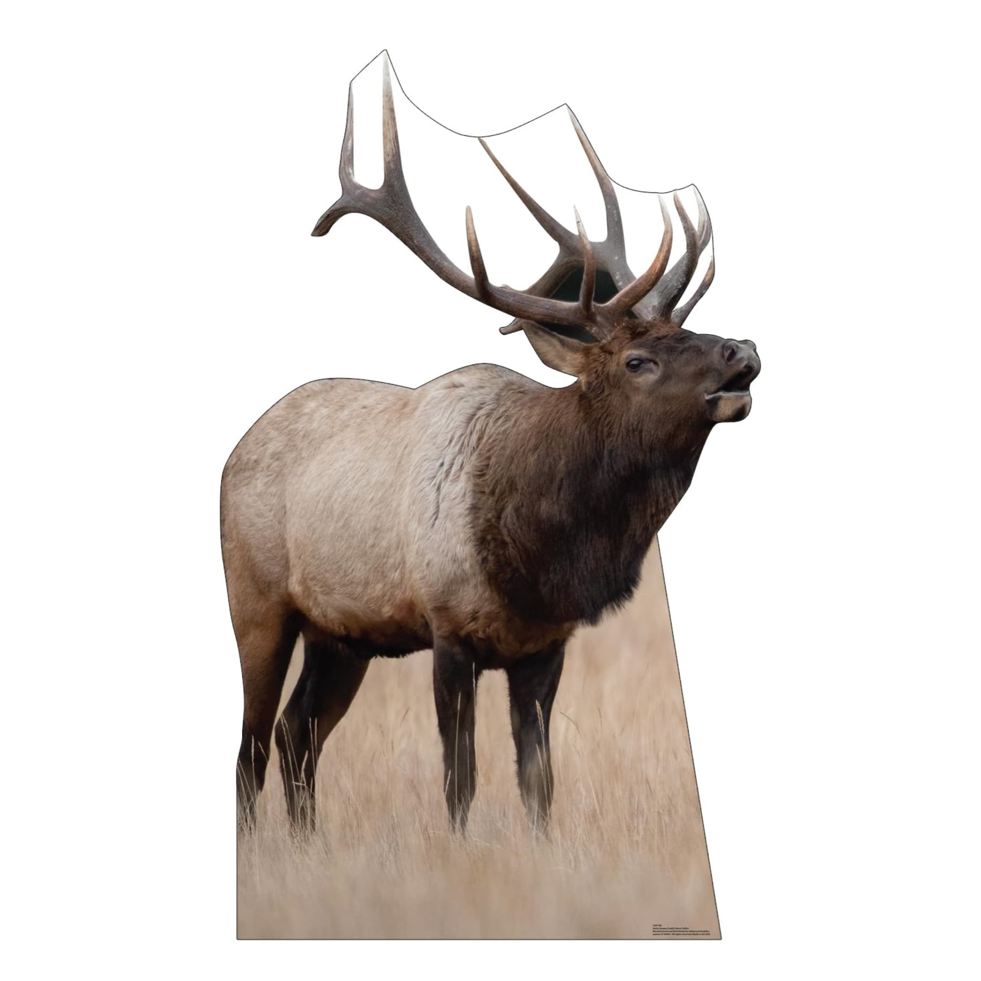Advanced Graphics 5207 62 x 37 in. Elk Life-Size Cardboard Cutout ...
