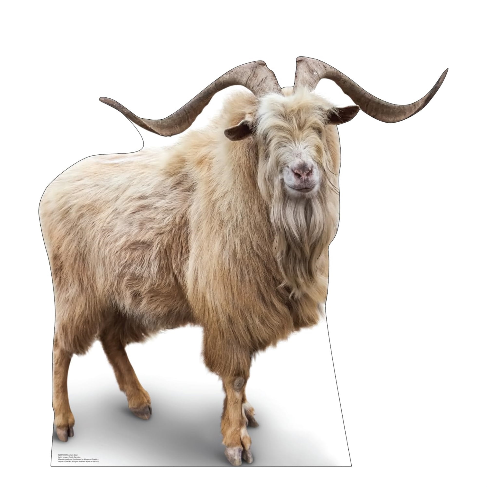 Cardboard People Wild Mountain Goat Life Size Cardboard Cutout Standup ...