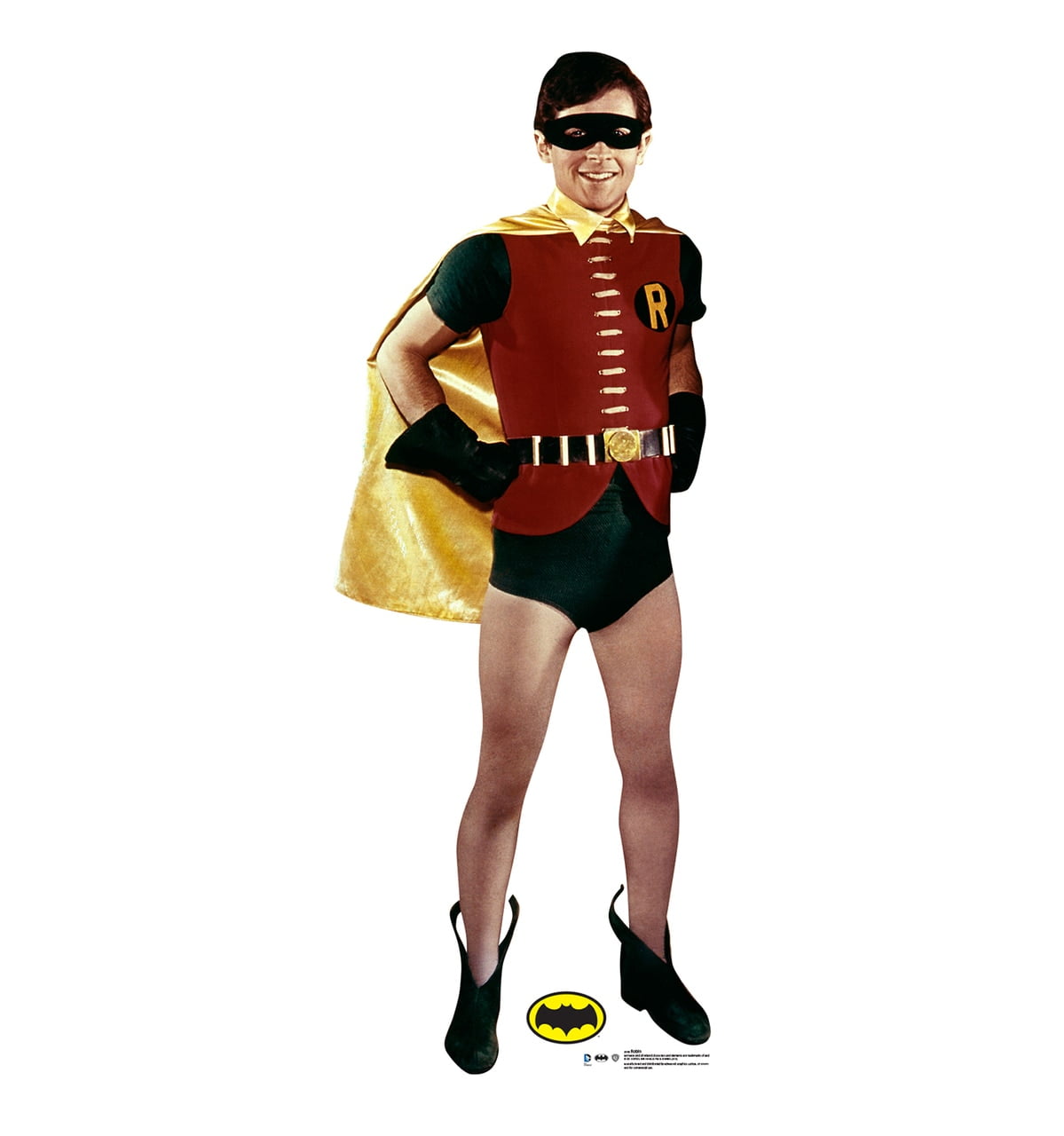 Robin (1969 TV Series - Batman and Robin) - Walmart.com