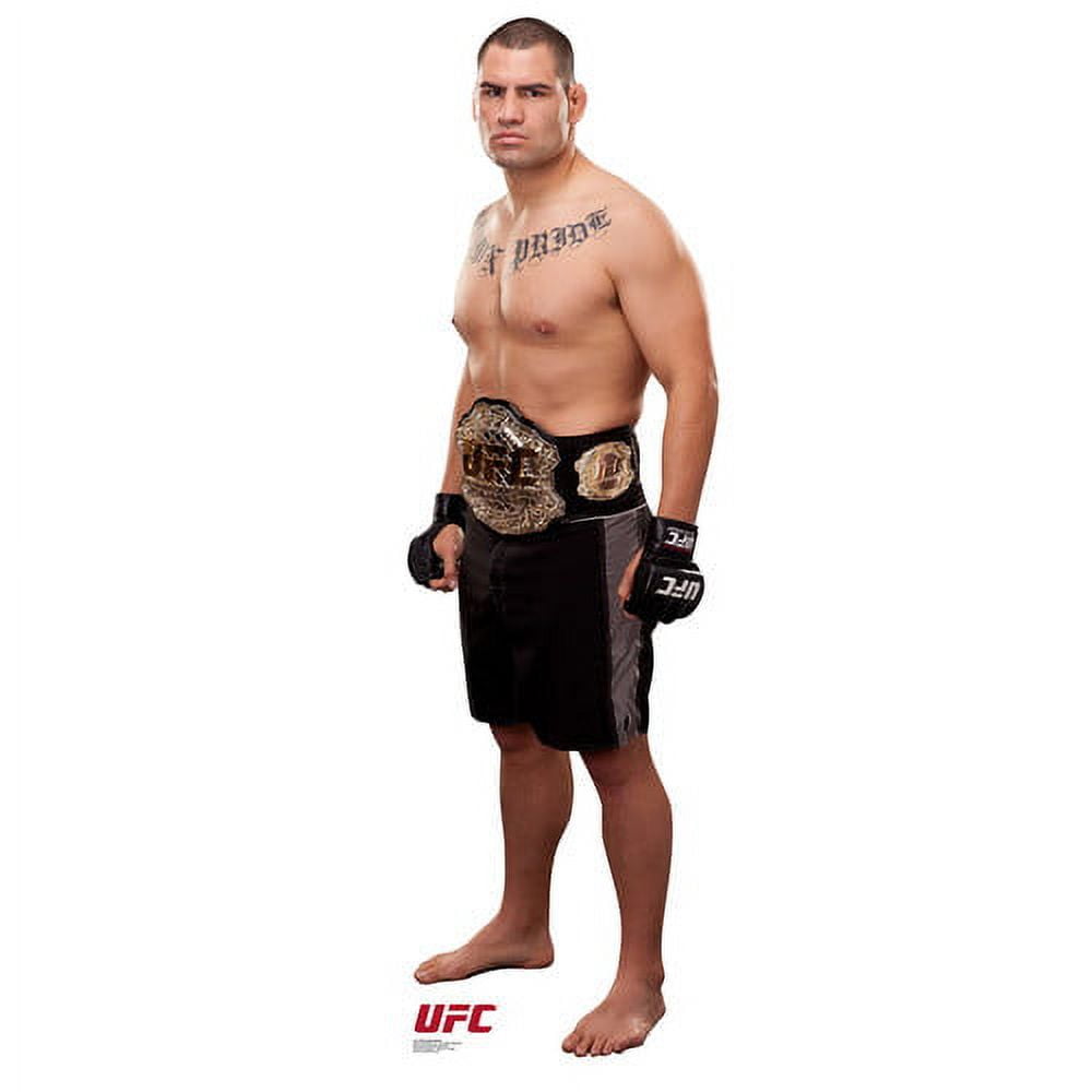 Ufc Fighter Full Body
