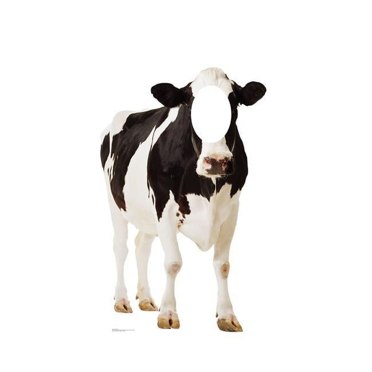 Advanced Graphics Cow Cardboard Cutout Life Size Stand-In - Party ...