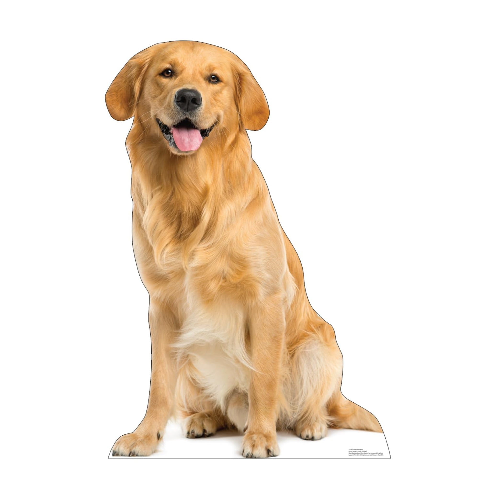 Advanced Graphics Golden Retriever Life-Size Cardboard Stand-Up, 45" x ...