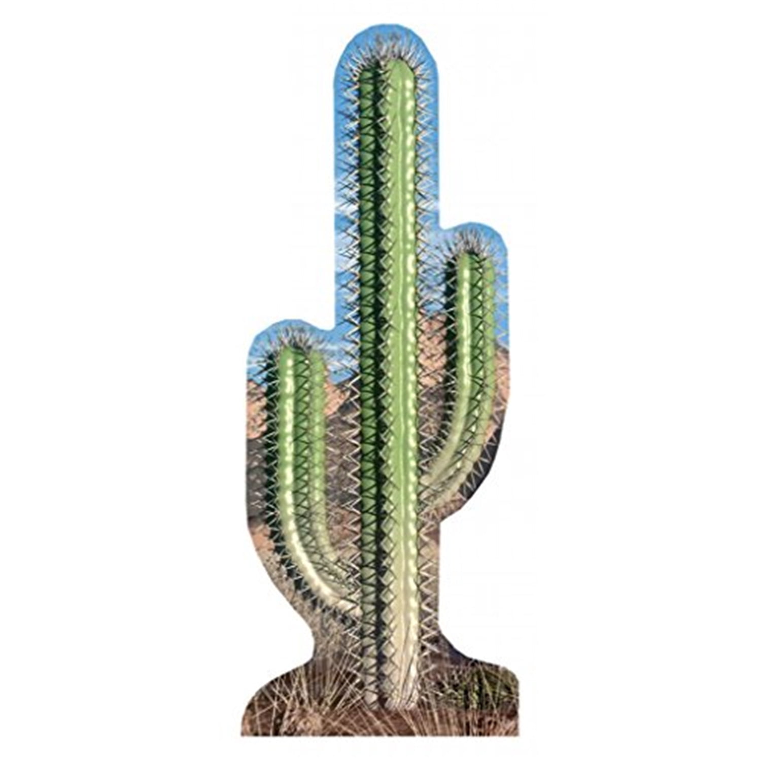 Advanced Graphics Lifesize Wall Decor Cardboard Standup Poster Cactus ...