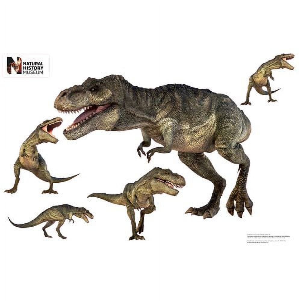Advanced Graphics WJ1046 24 x 36 in. T. Rex Layout Wall Decal - Walmart.com