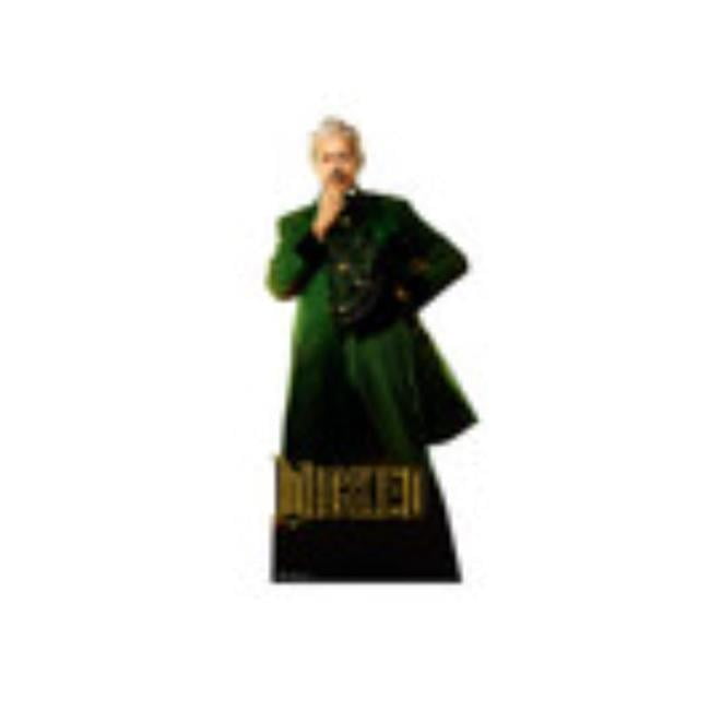 Advanced Graphics 5602 Wicked The Wizard Cardboard Cutout - Life Size ...