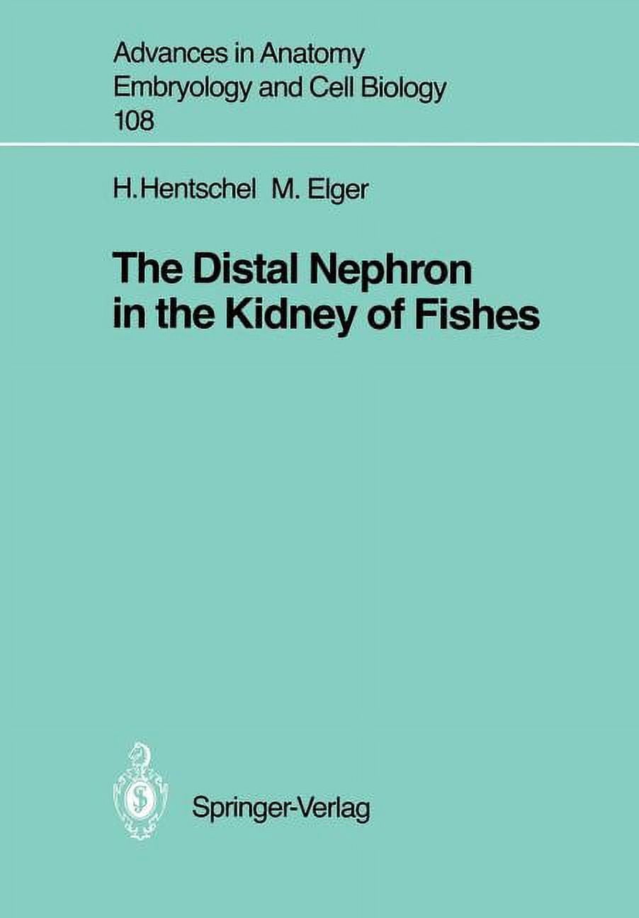 Advances in Anatomy, Embryology and Cell The Distal Nephron in the ...