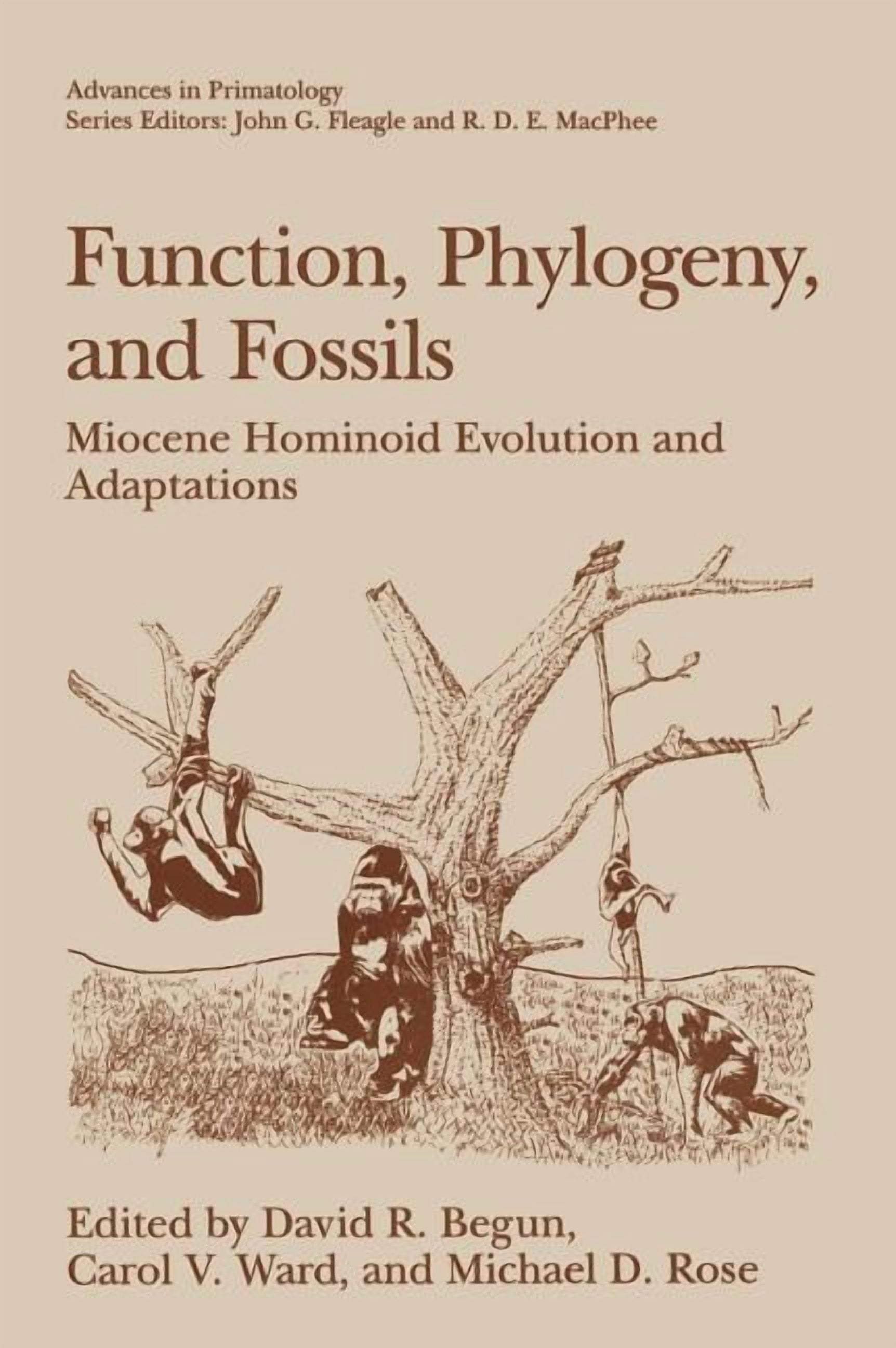 Advances in Primatology Function, Phylogeny, and Fossils: Miocene ...