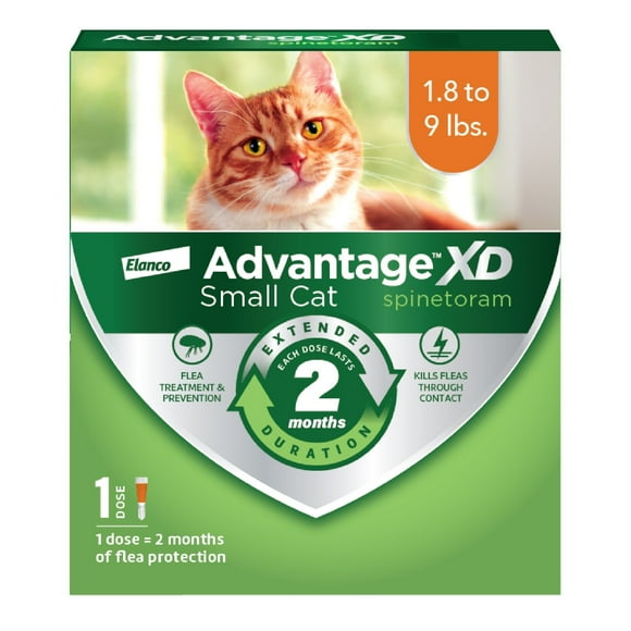 Advantix Cat