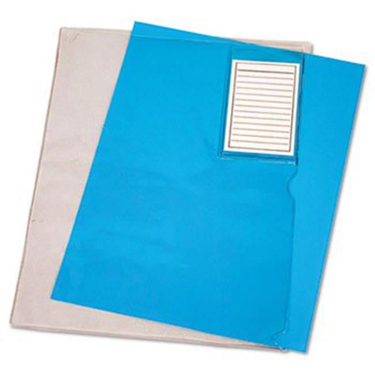 Advantus Corporation ANG12 Vinyl File Folder, Clear, Letter with Pocket ...